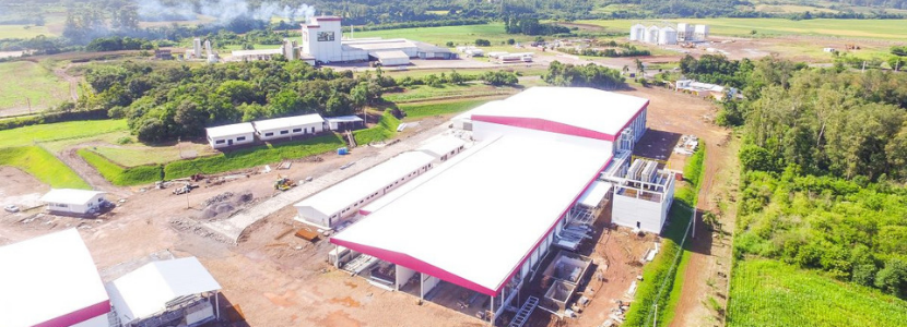 Dália Alimentos inaugura complexo avícola em 13 de dezembro
