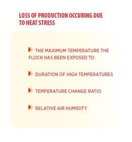 Understanding heat-stress in layers (Part I) - aviNews, International