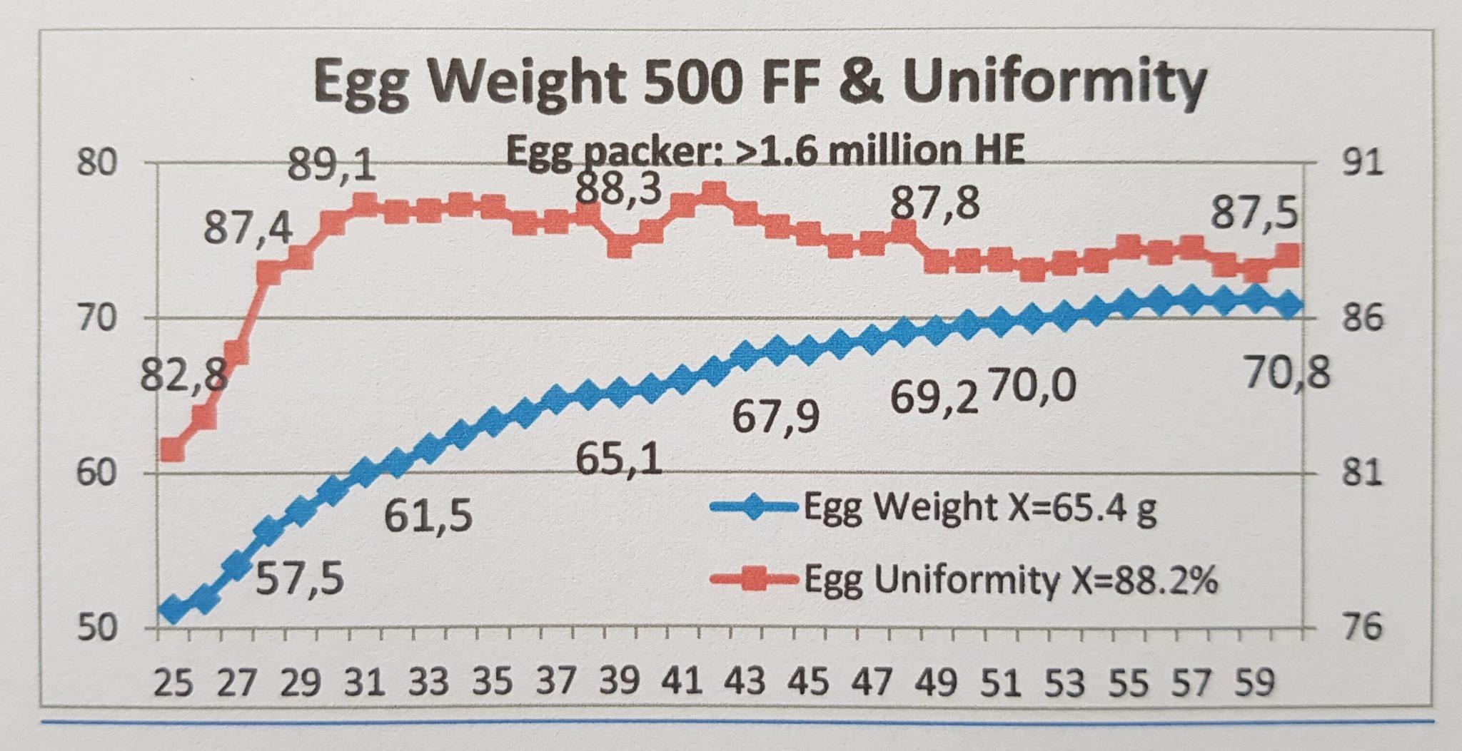 Chick quality: Importance of breeder nutrition and management - aviNews ...