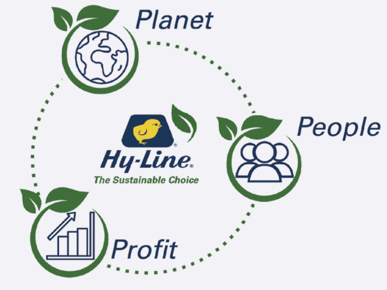 Hy-Line: The sustainable choice - aviNews, the global poultry magazine