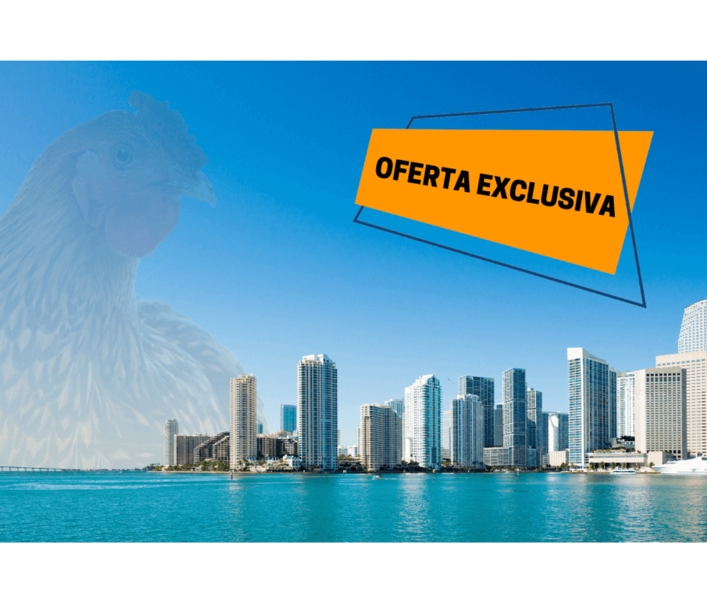 LPN Congress Lan a Oferta Exclusiva Para O Setor AviNews Brasil