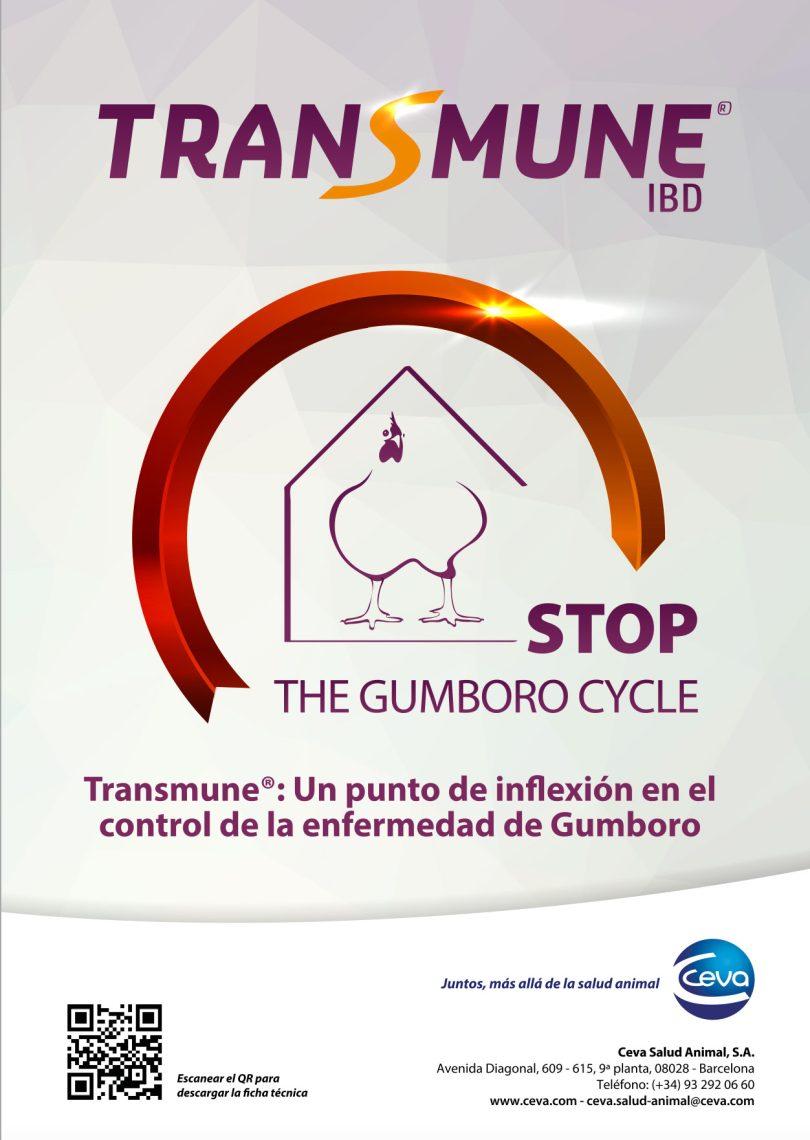 La transferencia para correcta vacunación de huevos embrionados