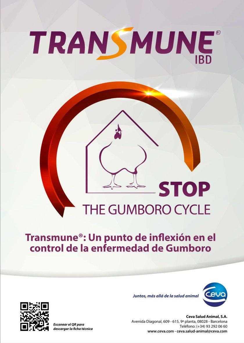 La transferencia para correcta vacunación de huevos embrionados