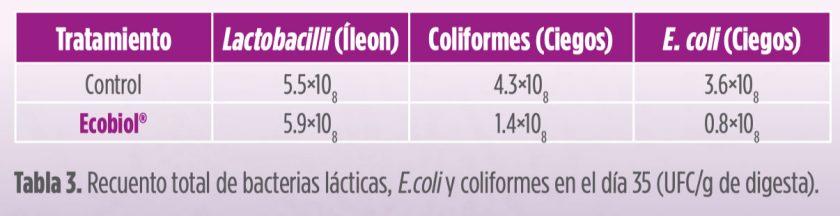 Ecobiol® mejora el rendimiento de los pollos de engorde