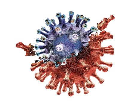 Efecto Spillover en epidemiología