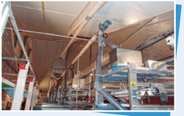 Feeding Management In Layer