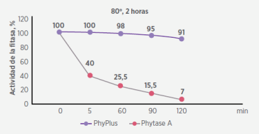 Rovabio® PhyPlus - Rápido, poderoso y termoestable