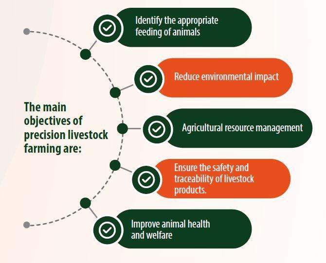 Animal Welfare and Artificial Intelligence
