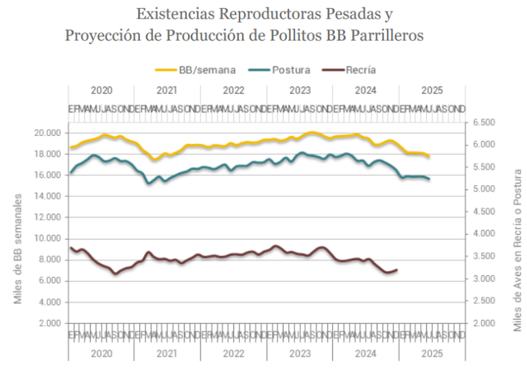 Panorama Avícola Argentino: Producción, Comercio y Consumo - aviNews ...