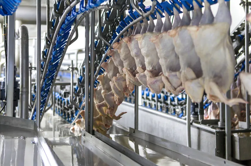 De Heus builds poultry processing plant in Vietnam - aviNews, the ...