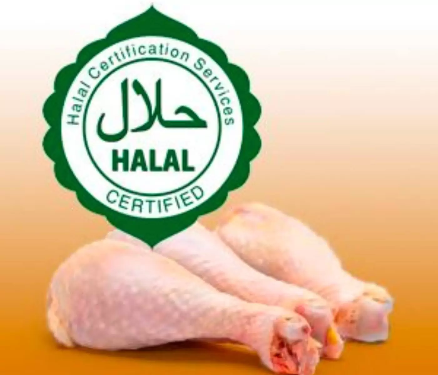Halal Chicken Logo